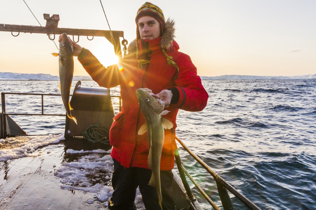Techniques avancées pour la pêche des plus grands spécimens marins